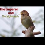 Read and Download One Act Play Scripts | Scripts for Stage
