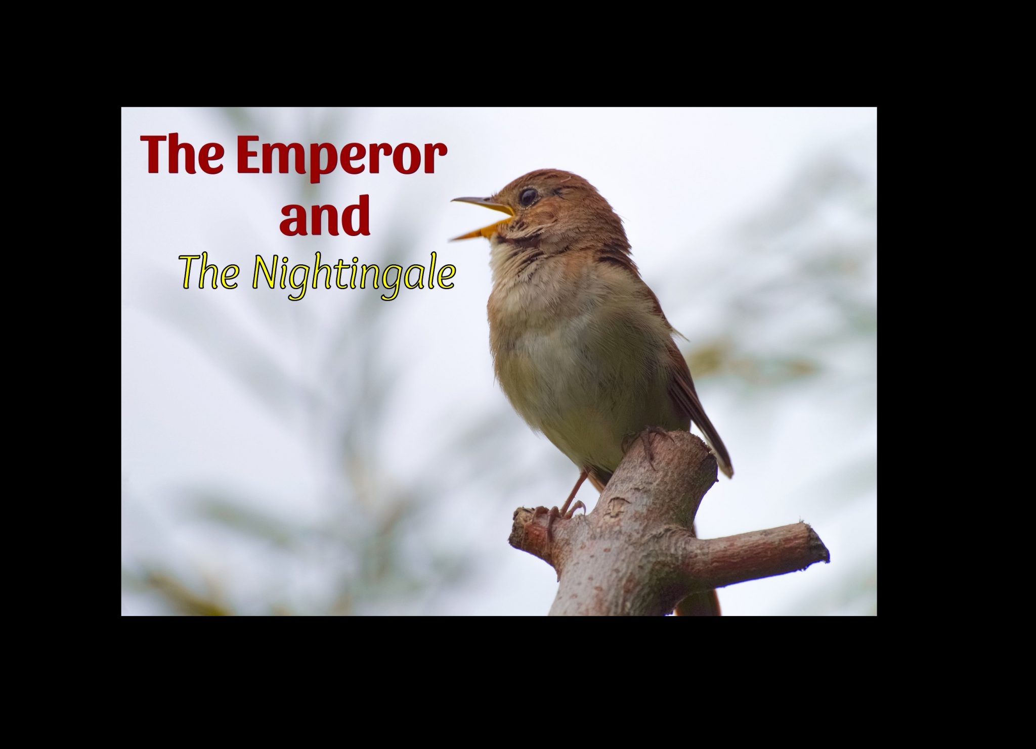 The Emperor and the Nightingale | Scripts for Stage