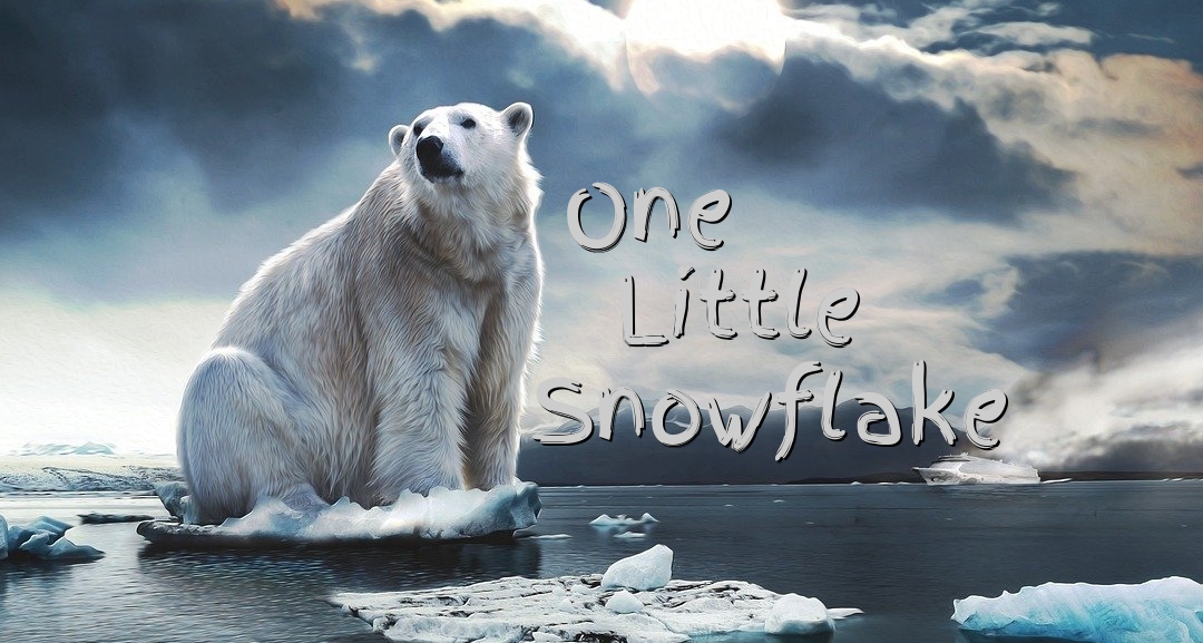 One Little Snowflake - Scripts for Stage